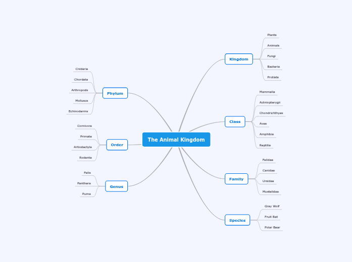 Lauren Williams - Mind Map